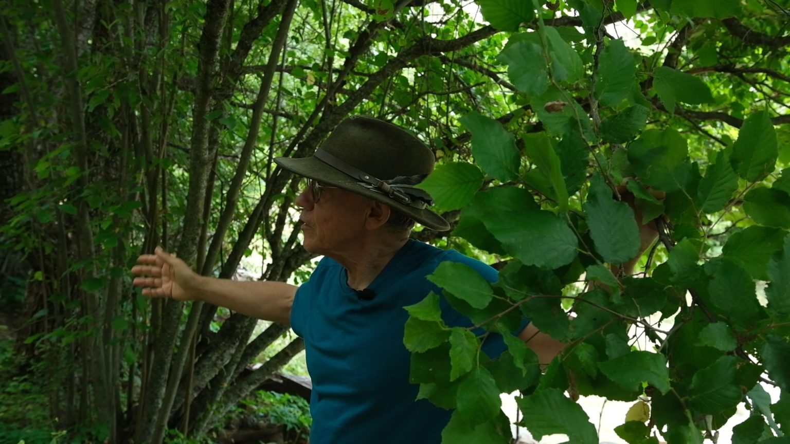 Formations de François Couplan – Plantes sauvages et autonomie alimentaire
